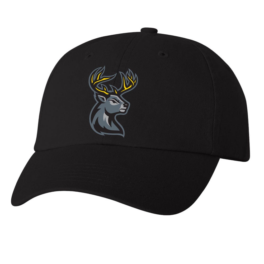 Youth Hat - Official Iowa Heartlanders Logo Stretch Fitted Cap | Iowa ...